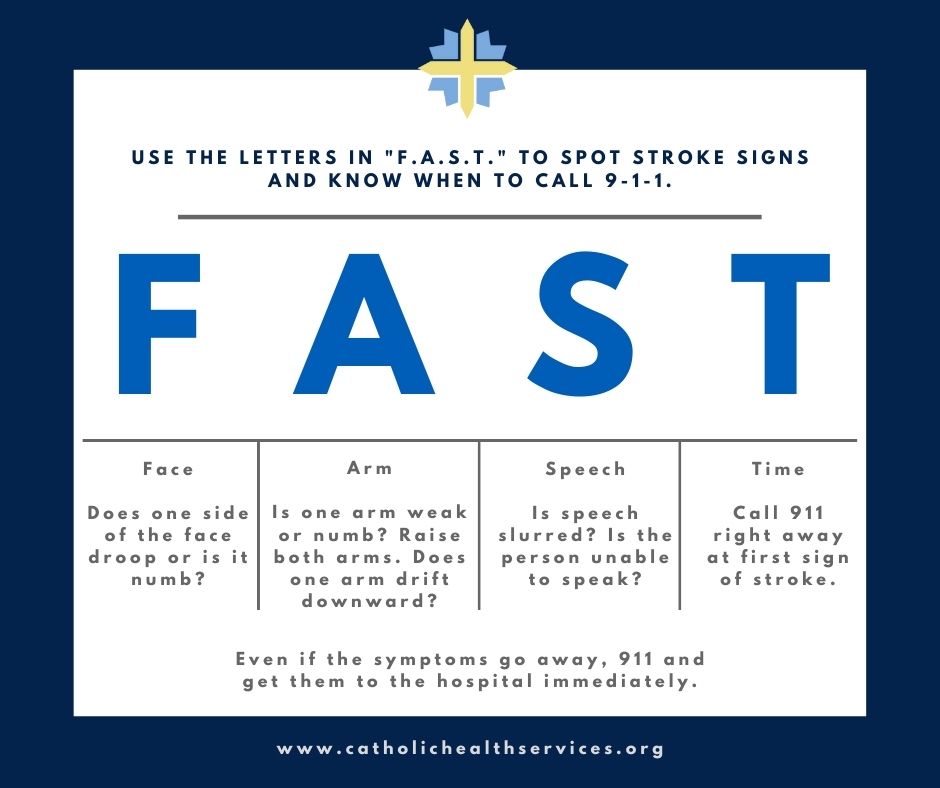 The Connection between Heart Health and Stroke: What You Need to Know ...